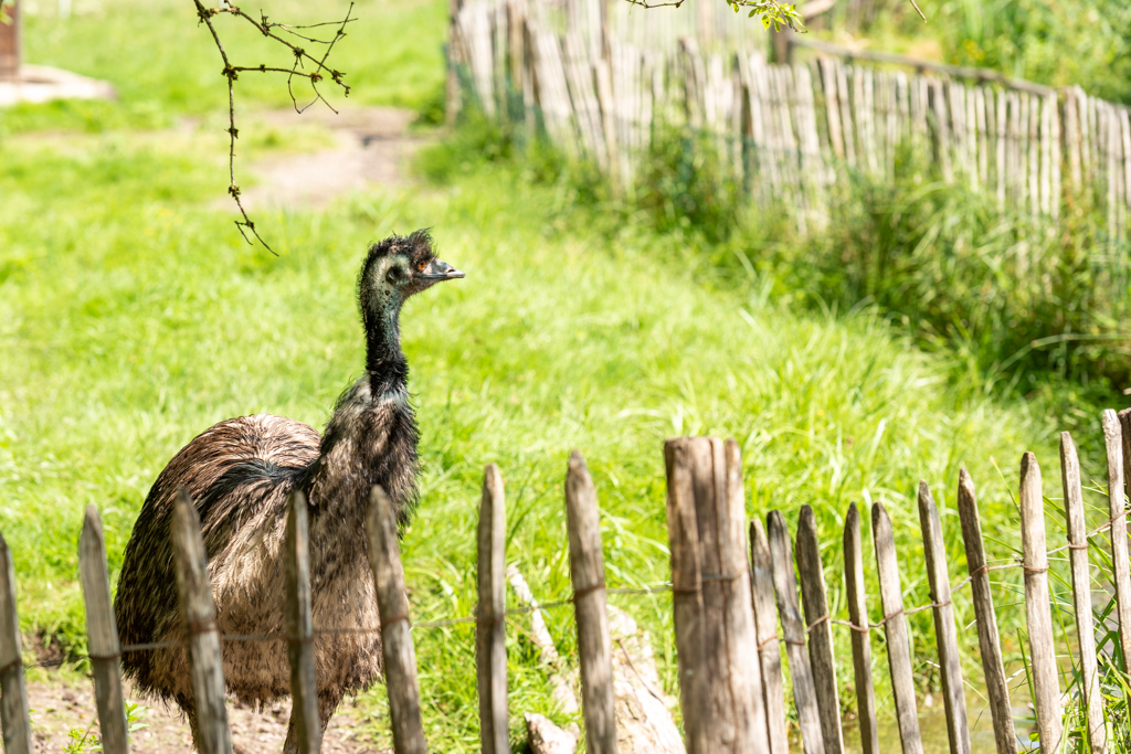 Raritätenzoo Ebbs – Bergwanderung